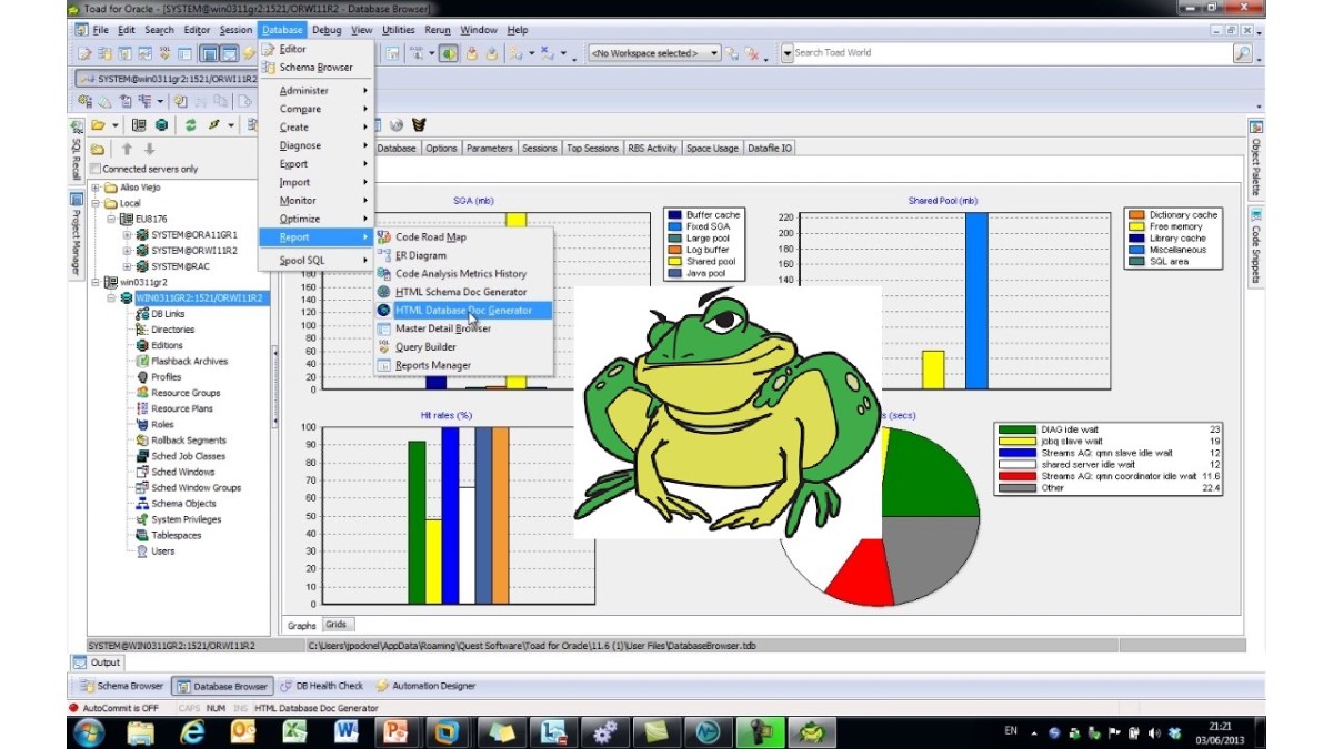 Oracle Toad kullanırken, data grid’in kaybolması Sorunu – Uğurcan'ın ...